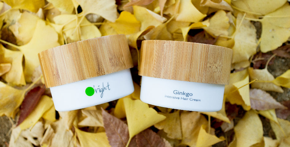 O'RIGHT GINKGO INTENSIVE HAIR CREAM 100ML – O'Nature